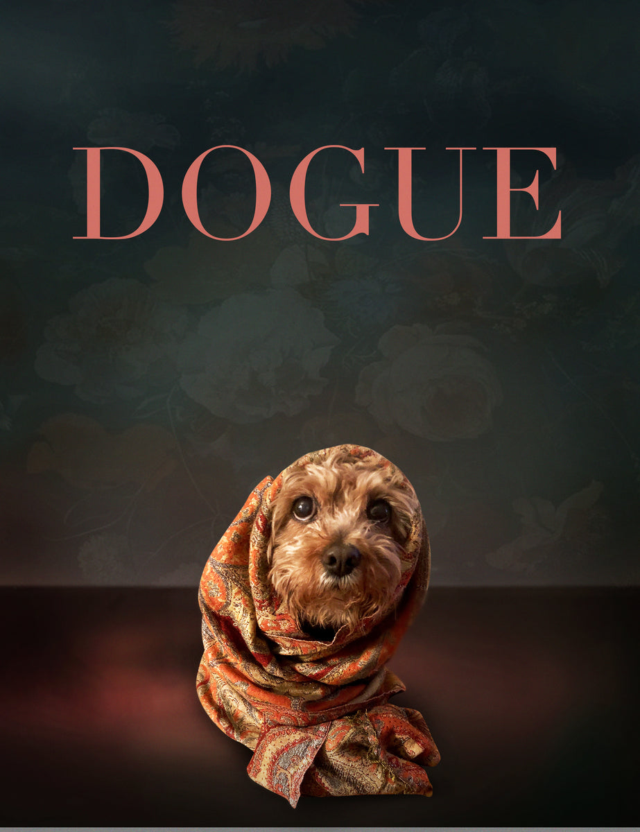 DOGUE – difiorenewyork