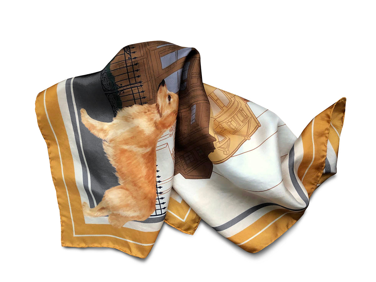 New to the Pack – difiorenewyork